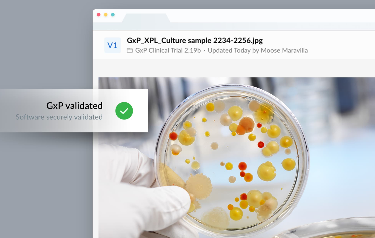 GxP-validated information governance in Box | Box Blog
